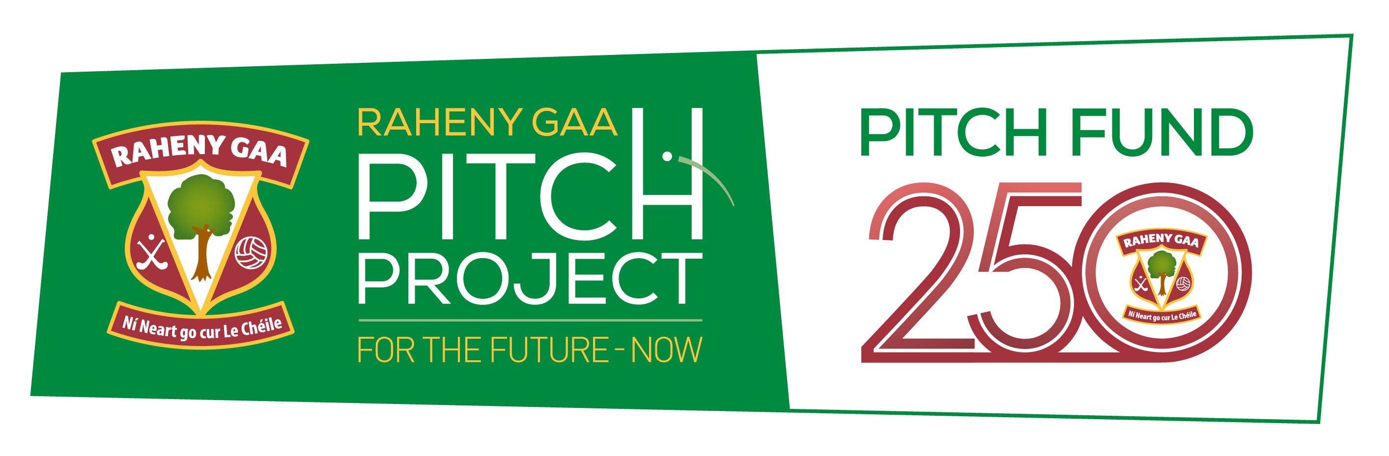 Raheny GAA Pitch Fund 250